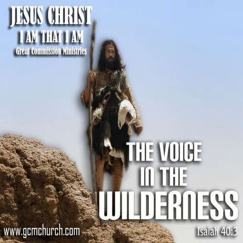 The voice in the wilderness | PPTX