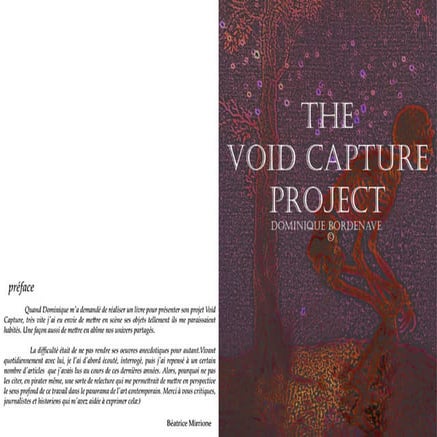 The Void Capture Project | PDF