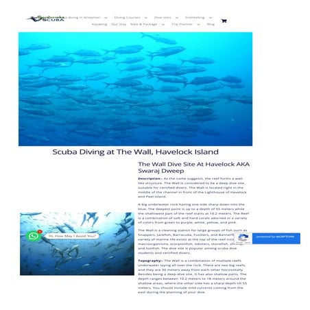 The Wall dive site Havelock Island, Andamans | PDF