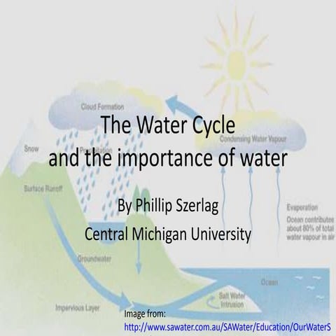 The water cycle | PPTX | Weather | Science