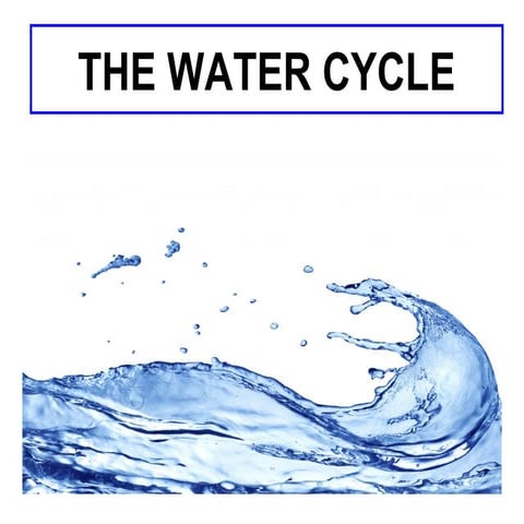 grade 3 water cycle | PPT