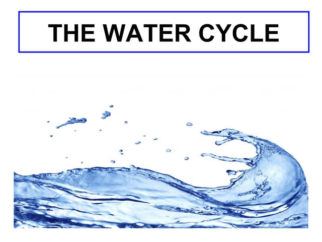 grade 3 water cycle | PPT