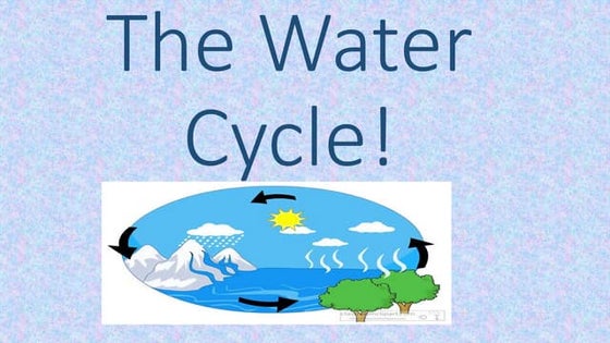 The life cycle | PPTX
