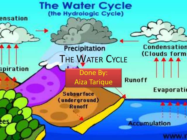 Water Cycle Diagram For Class 8