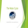 The Water Cycle.pptx | Weather | Science