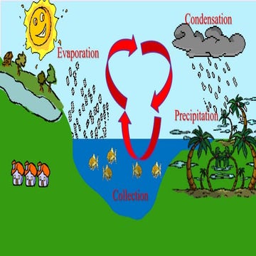 The Water Cycle: English and Spanish | PPTX