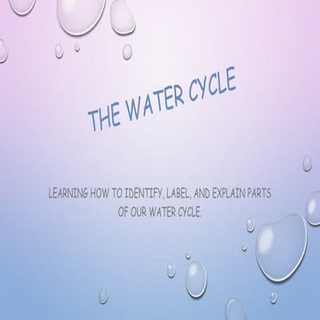 The water cycle presentation | PPT