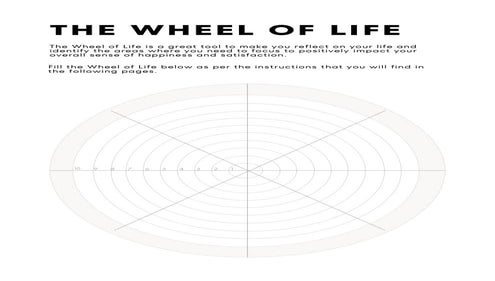 Life Balance Wheel Worksheet