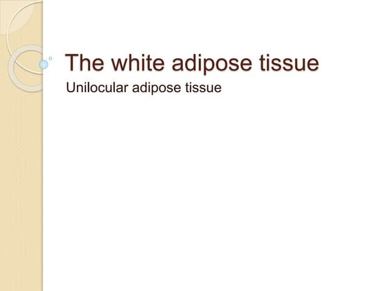 Connective tissue | PPT