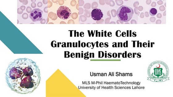 Order of draw in phlebotomy section | PPTX