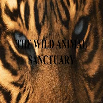 The wild animal sanctuary | PPT