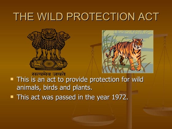 WILDLIFE PROTECTION ACT 1972 | PPTX | Hunting and Shooting | Sports
