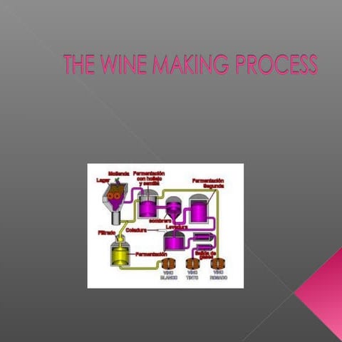 The wine making process | PPT