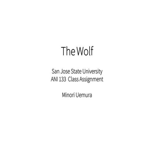 The Wolf | PDF