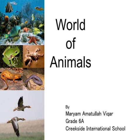 Animals and their_habitats | PPTX