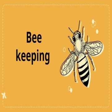 The World of Bees by ppppmmppmmmdmdmdpdp | PPTX