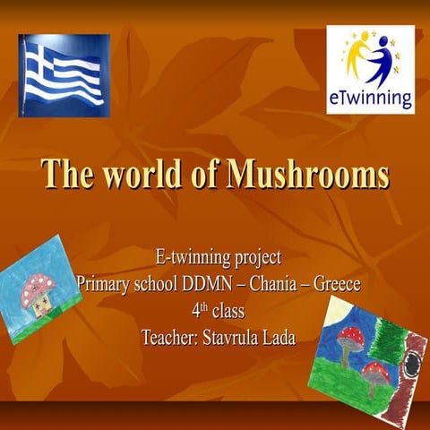 The world of mushrooms presentation | PPT