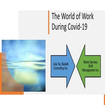 The World of Work During COVID-19 | PDF