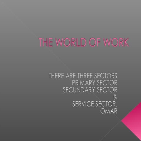 The world of work | PPT