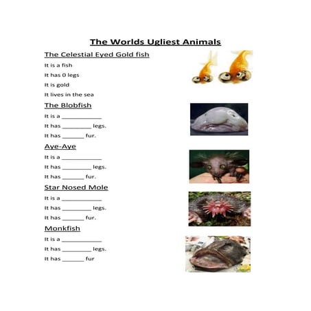 Fish: First steps on science | PPTX