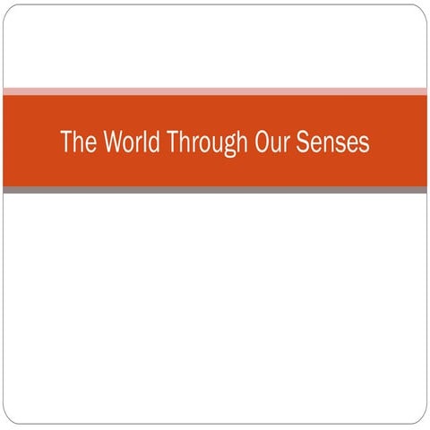 The world through our sense | PPT