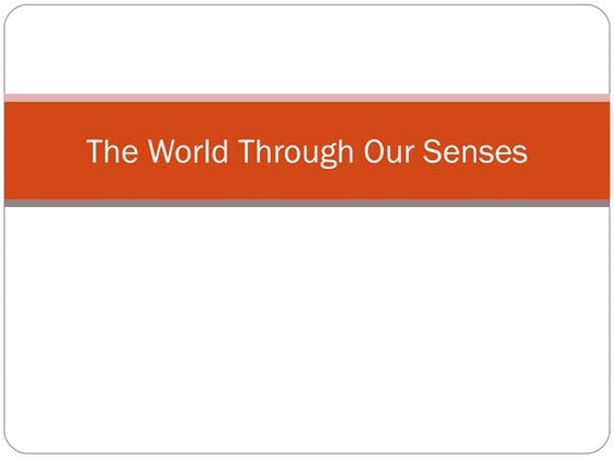 The five senses of the human body | PDF