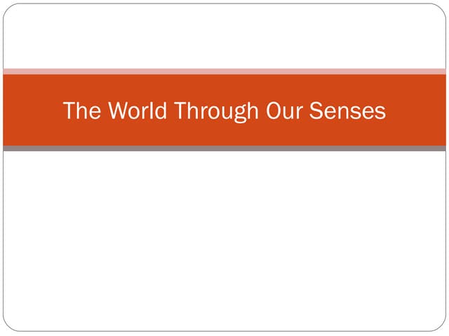 The five senses of the human body | PDF