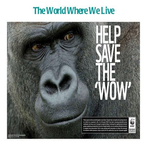 The world we live in | PPT