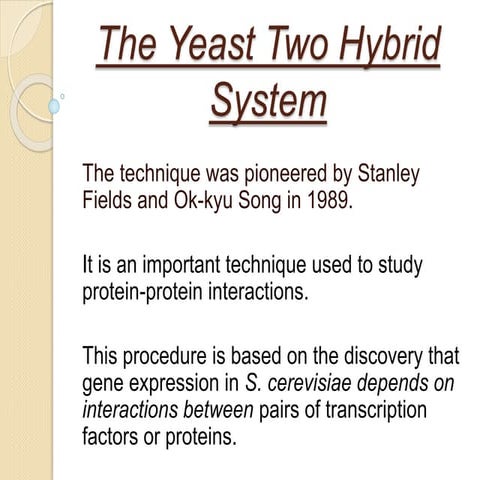 The yeast two hybrid system and ChIP | PPTX