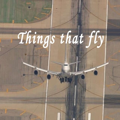 Things That Fly | PPS