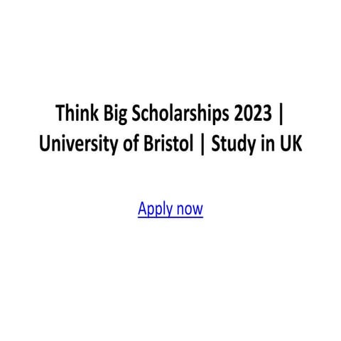 Think Big Scholarships 2023.pptx