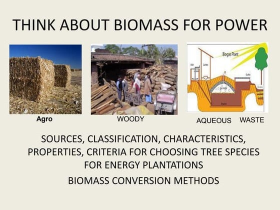 BIOMASS ENERGY PPT.pptxnhvnhvnnnvnvnvvnv | PPTX