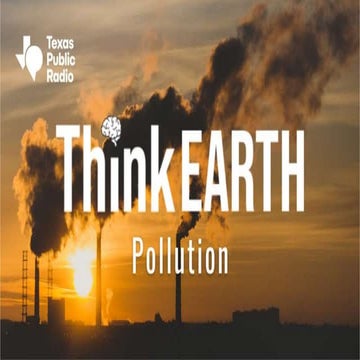 Think Earth: Pollution | PPT