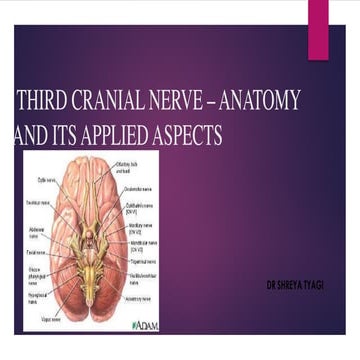 THIRD NERVE - ANATOMY AND APPLIED ASPECT. | PDF