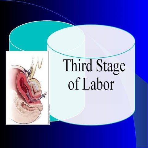thirdstageoflaborforundergraduate-130306091350-phpapp01 (1).pdf