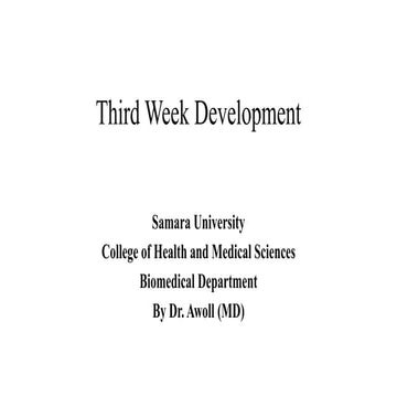Third Week Development.pdf