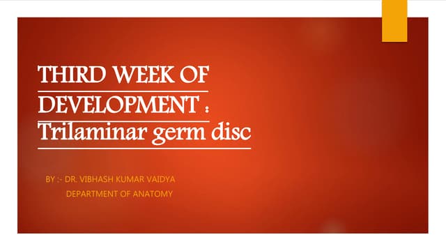 Trilaminar germ disc (week 3 embryology) | PPTX