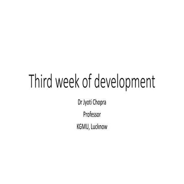 Third week of development | PPT