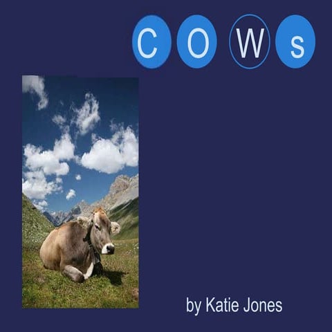 Cows | PPTX