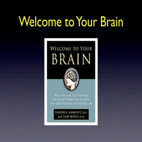 This is Your Brain | KEY | Brain and Nervous System Disorders ...
