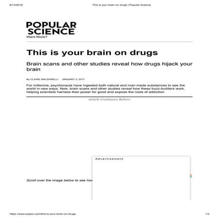 This is your brain on drugs | PDF