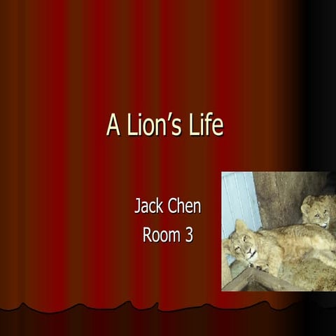 A Lion's Life | PPT