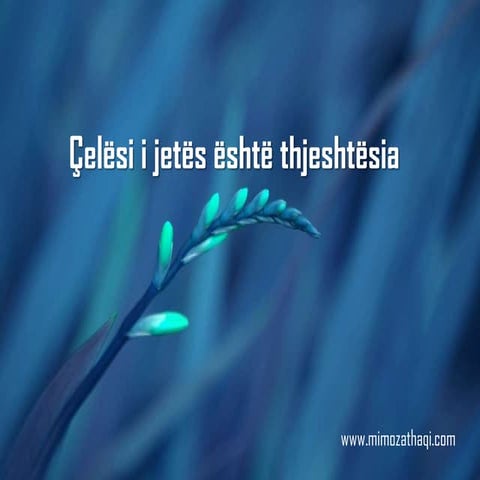 Thjeshtësia është çelësi | PPT