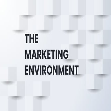 The Marketing Environment | PPT