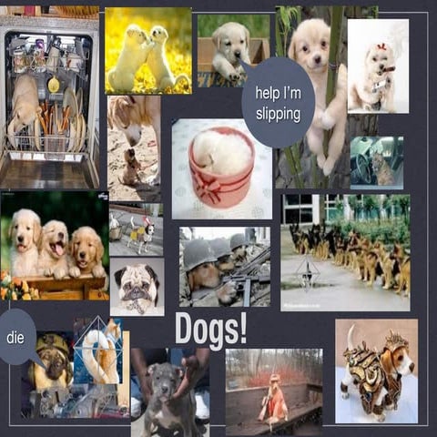Thomas and dogs | PPT