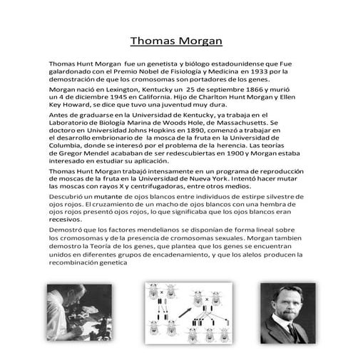 Thomas morgan | DOCX