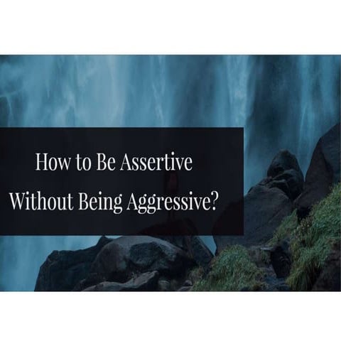 Thomas salzano how to be assertive without being aggressive | PPTX | Science