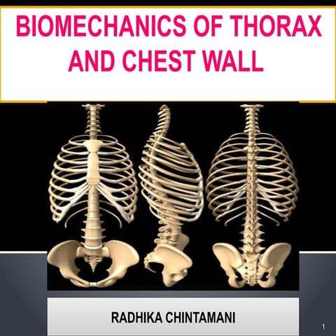 Thoracic Cage Anatomy