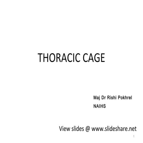 Thoracic cage | PPT