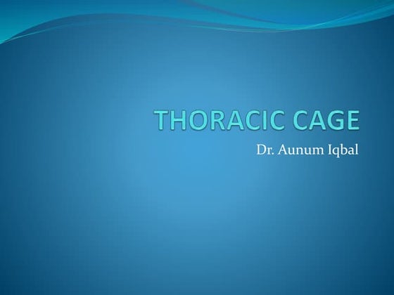 Anatomy of the lower respiratory tract | PPT